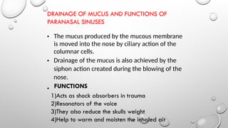 ANATOMY OF NOSE AND PARA NASAL SINUSES.pptx