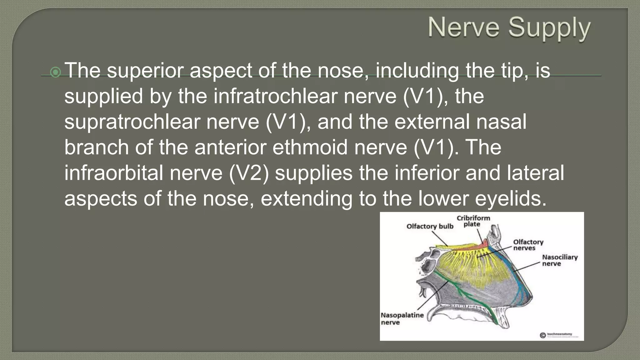 Anatomy of nose &functions & disorders | PPTX