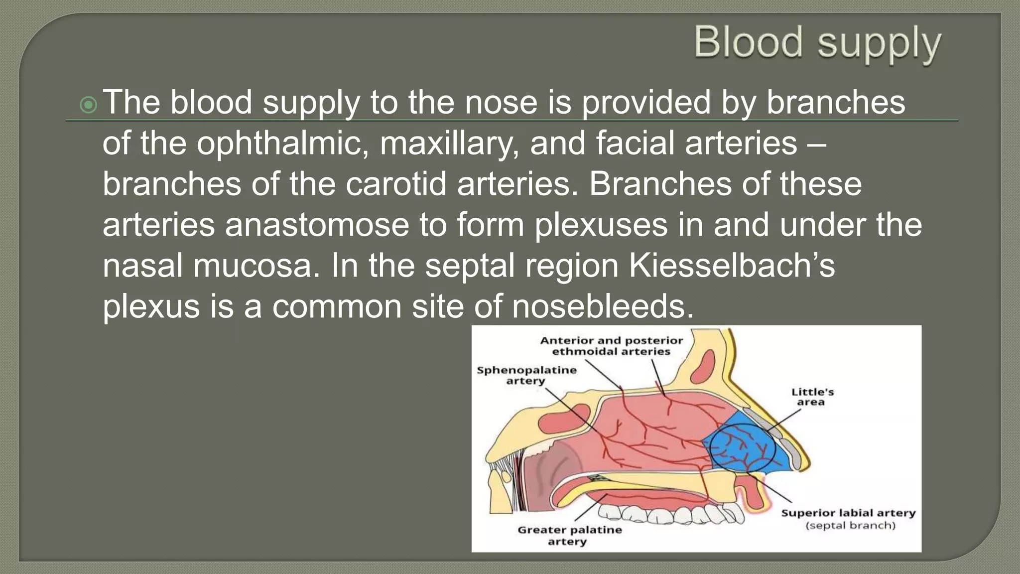 Anatomy of nose &functions & disorders | PPTX