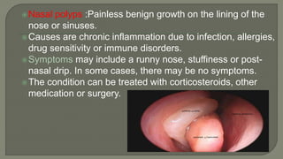 Anatomy of nose &functions & disorders | PPTX