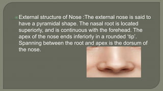 Anatomy of nose &functions & disorders | PPT