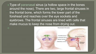 Anatomy of nose &functions & disorders | PPT