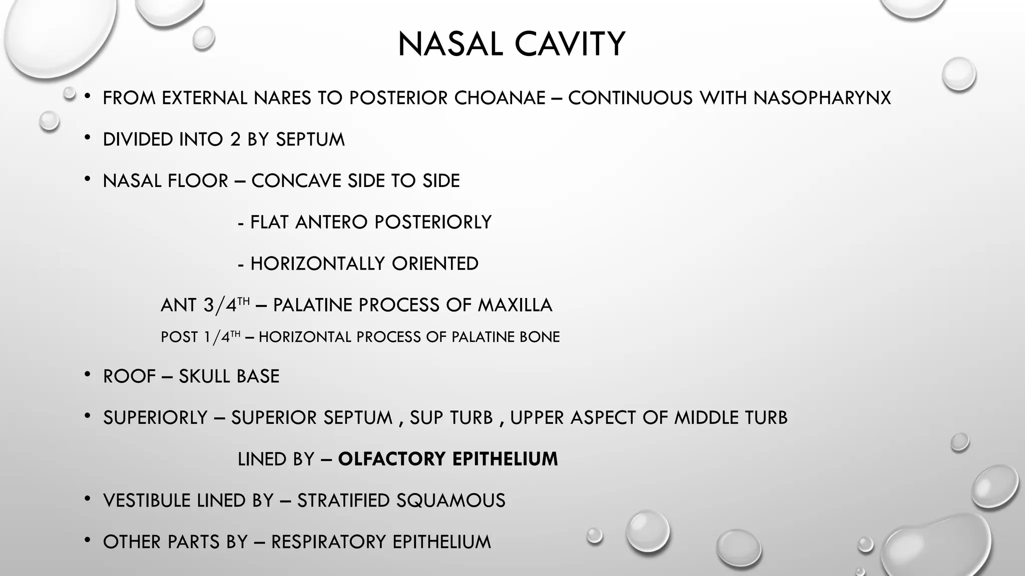 ANATOMY OF NOSE & OLFACTION midhun.pptx