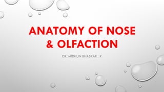 ANATOMY OF NOSE & OLFACTION midhun.pptx