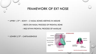 ANATOMY OF NOSE & OLFACTION midhun.pptx