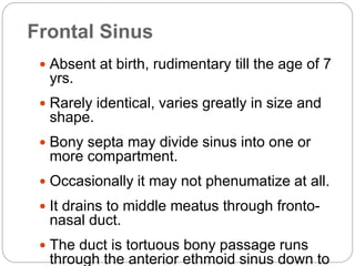 Anatomy of nose & paranasal sinuses | PPT