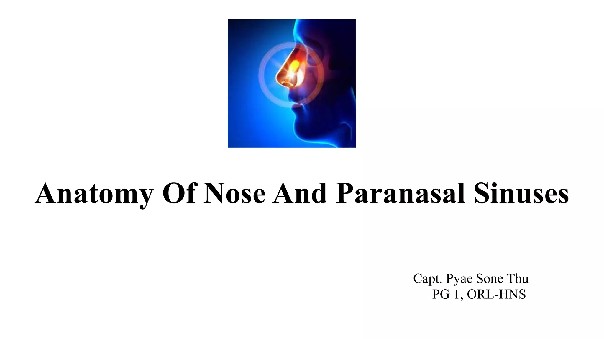 Anatomy of Nose & Paranasal sinuses.pptx