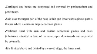 Anatomy of Nose & Paranasal sinuses.pptx