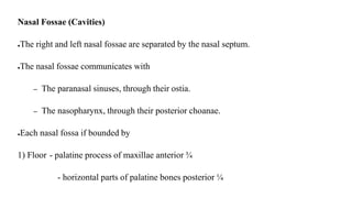 Anatomy of Nose & Paranasal sinuses.pptx
