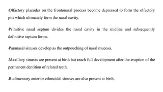 Anatomy of Nose & Paranasal sinuses.pptx
