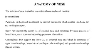 Anatomy of Nose & Paranasal sinuses.pptx
