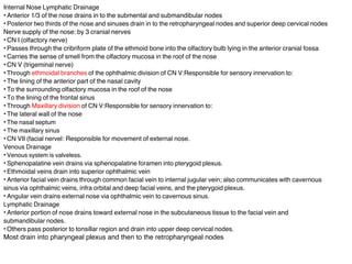 anatomy of nose¶nasal sinuses.pdf | Ear, Nose and Throat Conditions ...