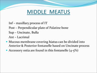 ANATOMY OF NOSE & PARANASAL SINUSES.ppt