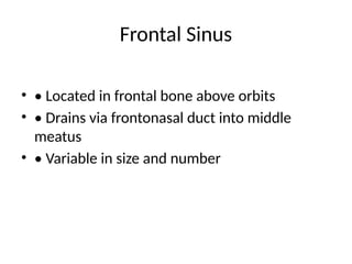 Anatomy_of_Nose_Paranasal_Sinuses_and_Olfaction.pptx
