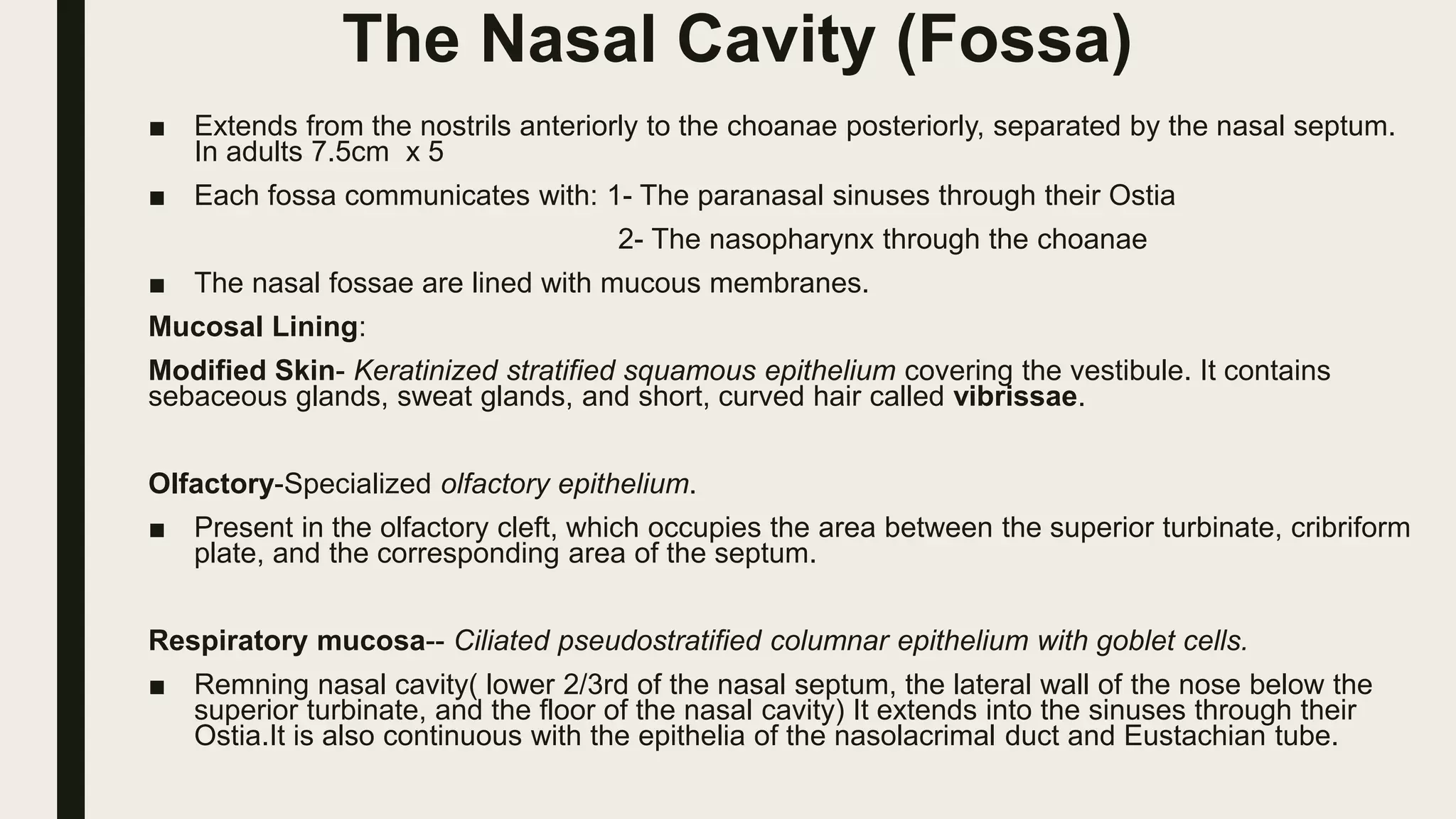 Anatomy of nose& PNS | PPTX