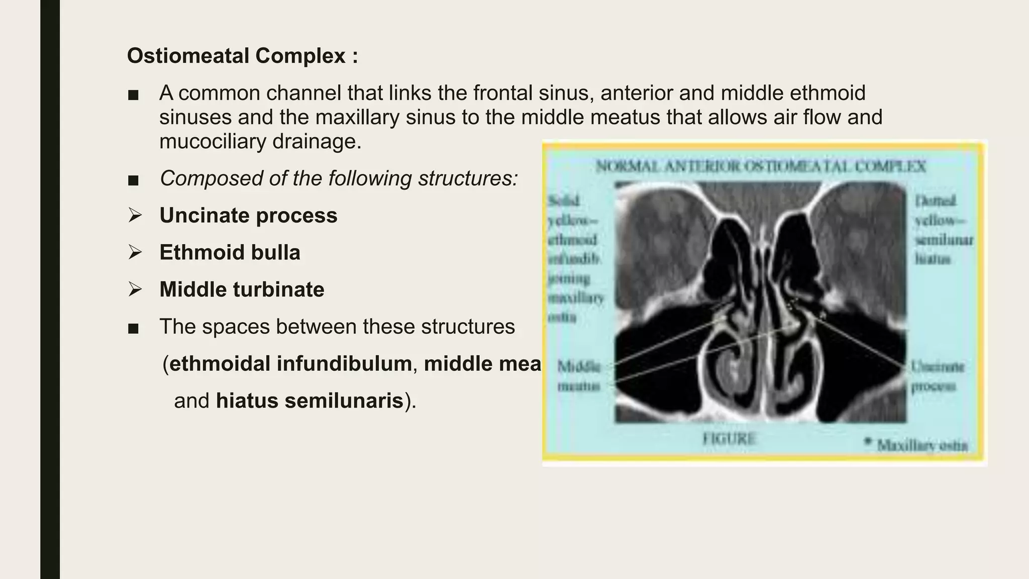 Anatomy of nose& PNS | PPTX