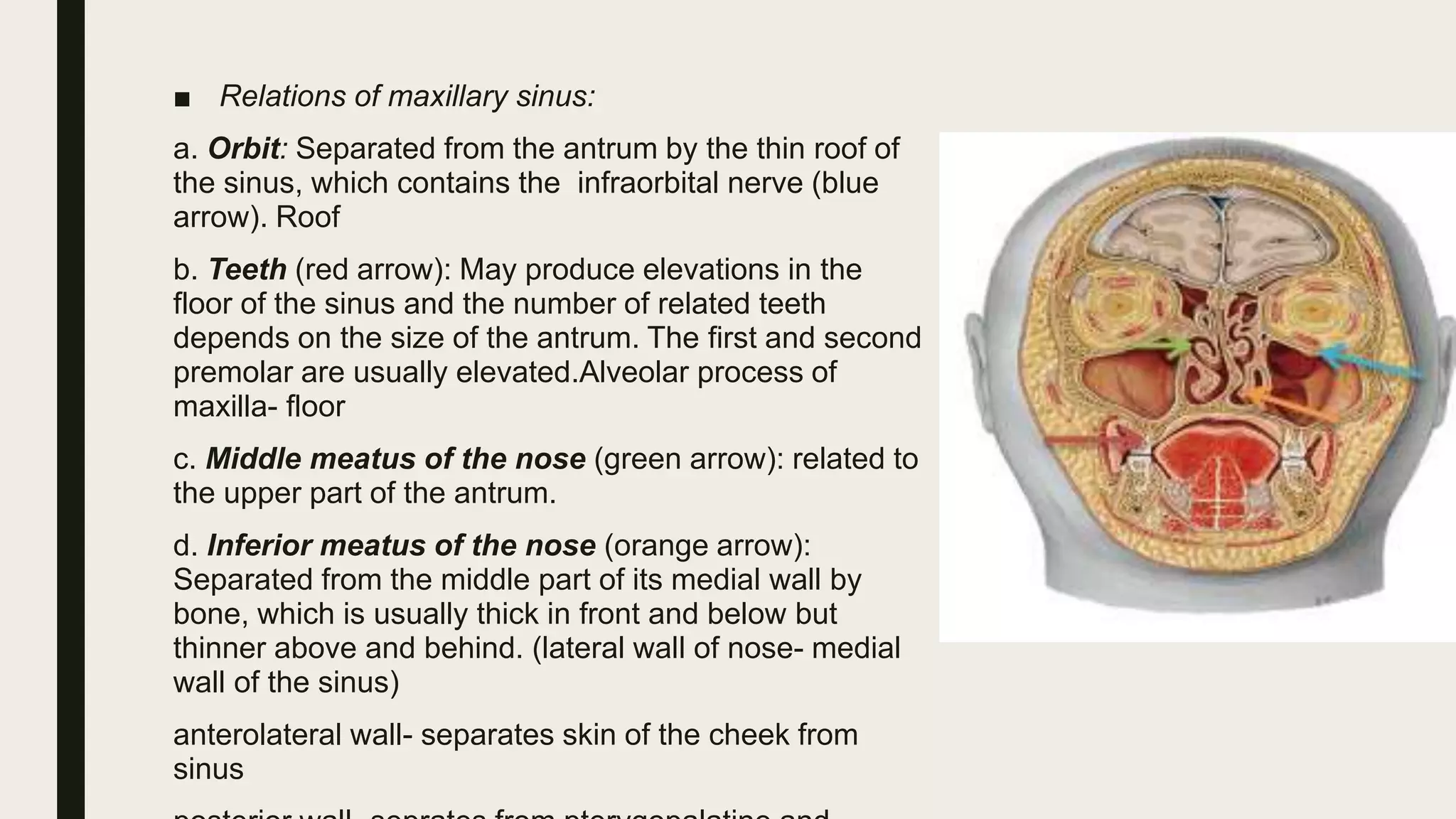 Anatomy of nose& PNS | PPTX