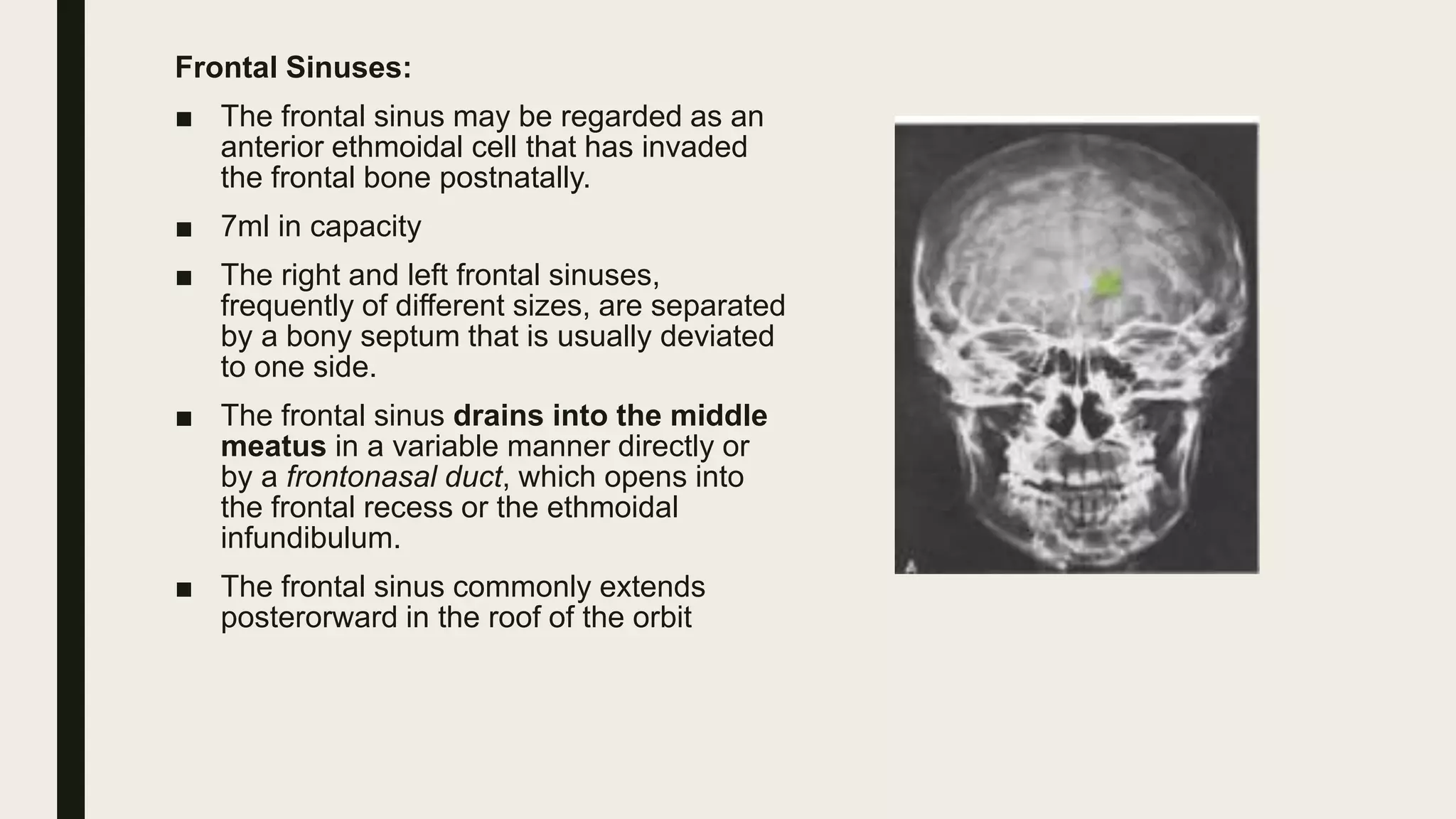 Anatomy of nose& PNS | PPTX
