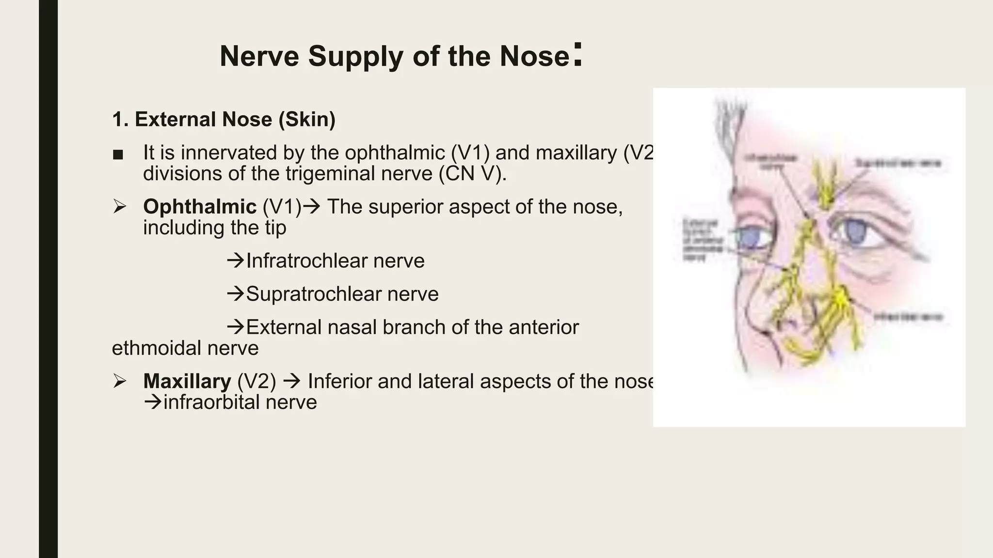 Anatomy of nose& PNS | PPTX