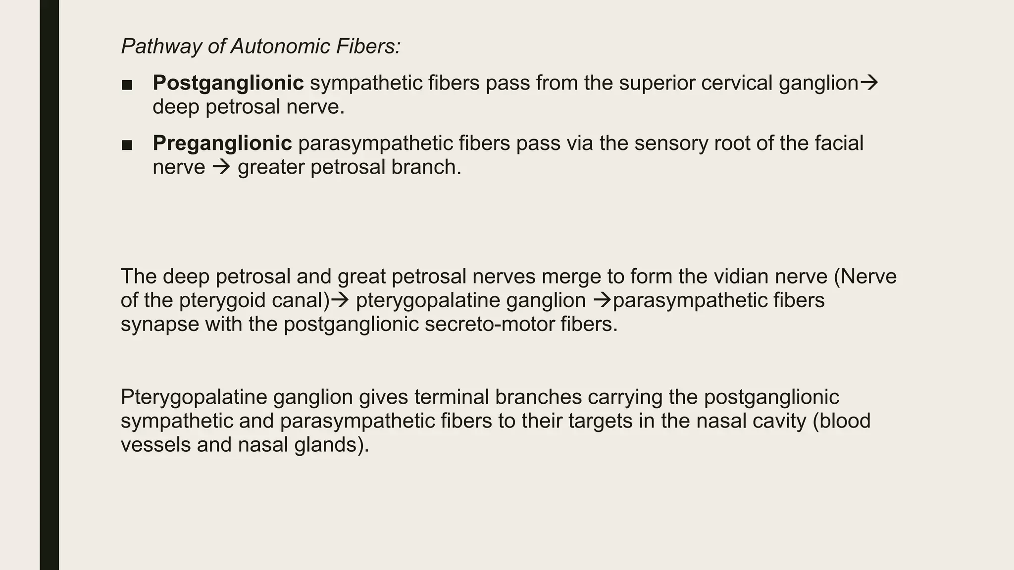 Anatomy of nose& PNS | PPTX