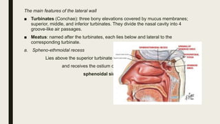 Anatomy of nose& PNS | PPTX