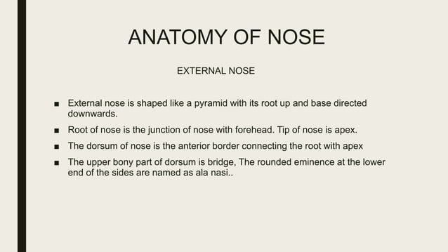 Anatomy of nose& PNS | PPTX | Ear, Nose and Throat Conditions ...