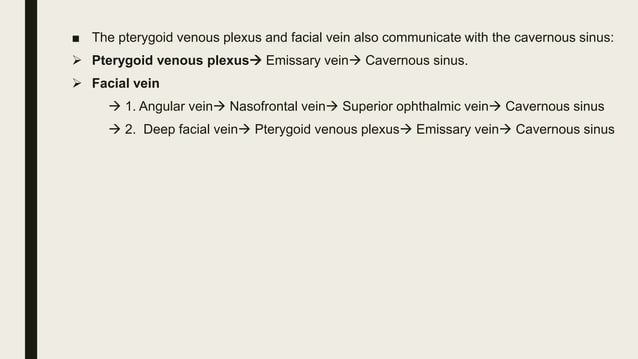 Anatomy of nose& PNS | PPTX | Ear, Nose and Throat Conditions ...