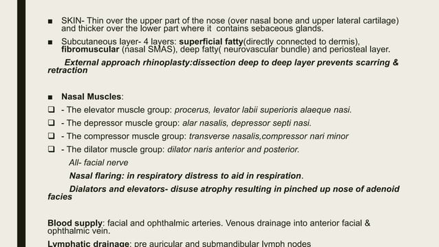 Anatomy of nose& PNS | PPTX | Ear, Nose and Throat Conditions ...