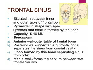 ANATOMY OF NOSE and PARANASAL SINUSES ENT PG | PPTX
