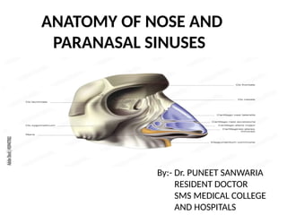 Comprehensive Anatomy and Development of Nose and Paranasal Sinuses | PPTX