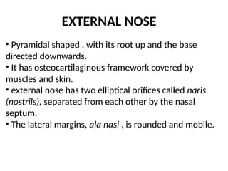 Comprehensive Anatomy and Development of Nose and Paranasal Sinuses | PPTX