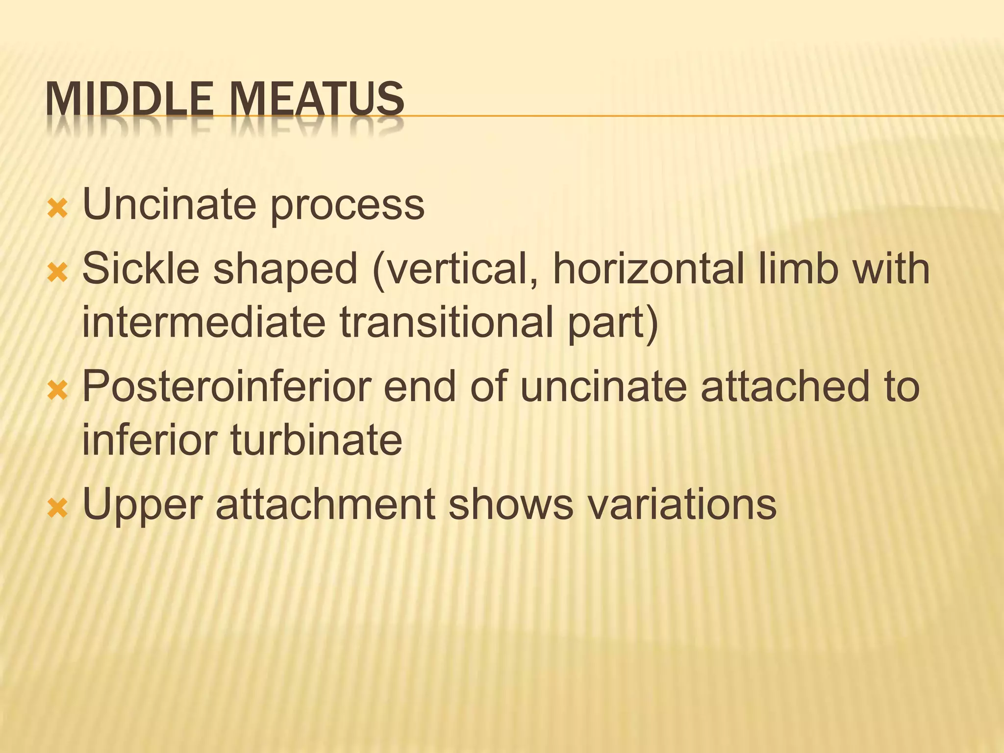 ANATOMY of nose ppt.pptx