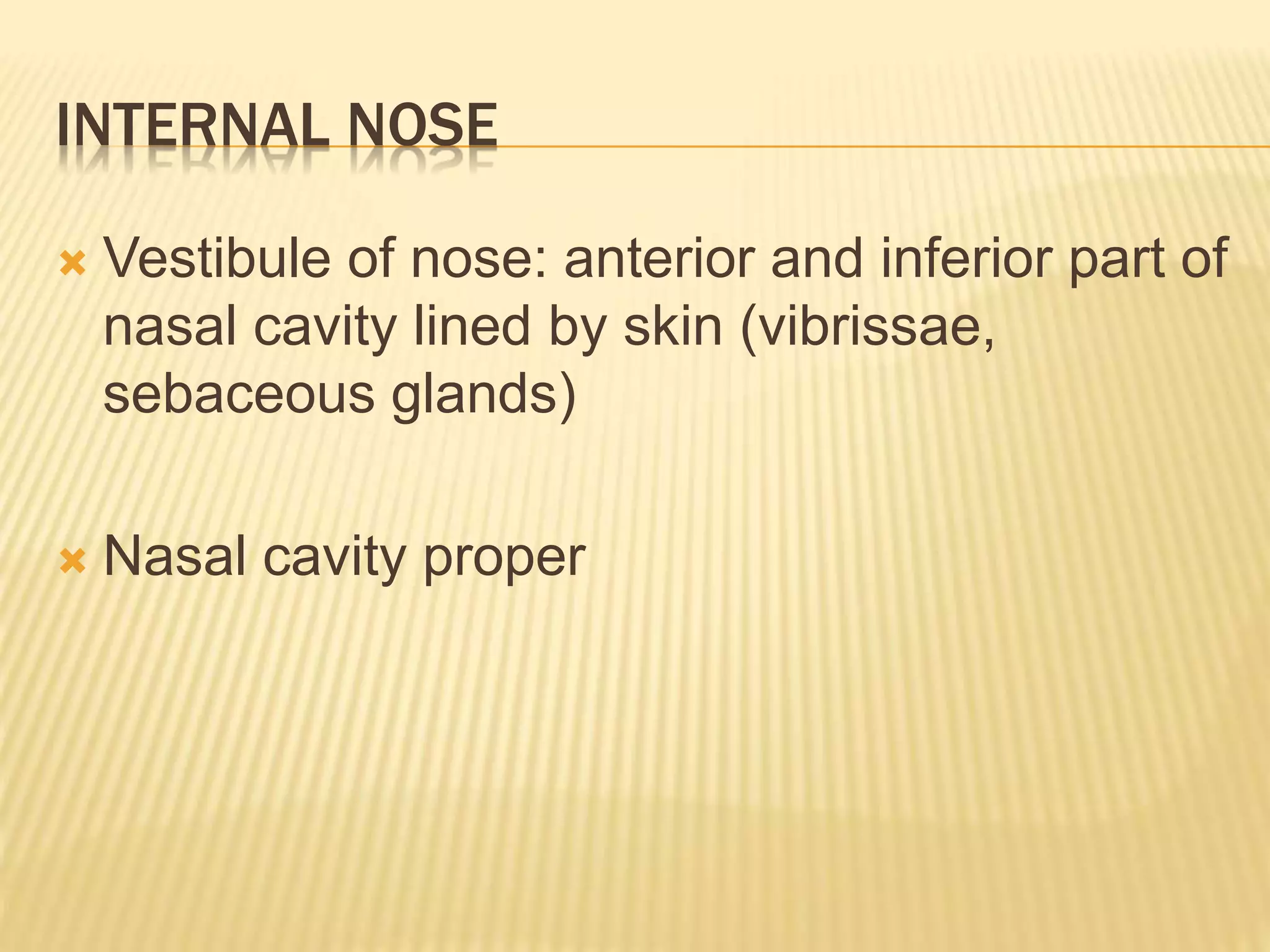 ANATOMY of nose ppt.pptx