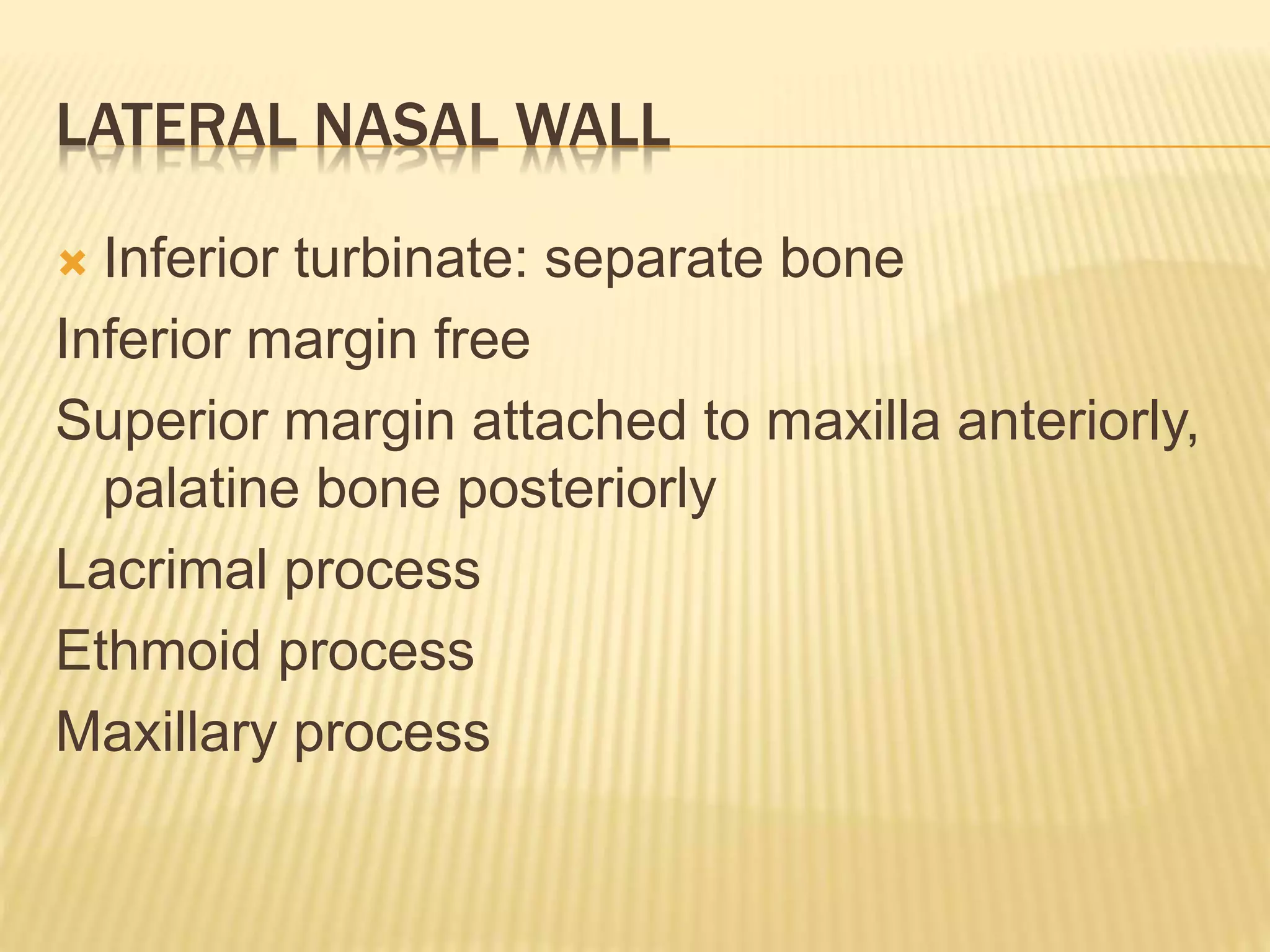 ANATOMY of nose ppt.pptx