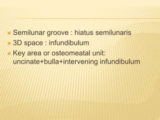 ANATOMY of nose ppt.pptx