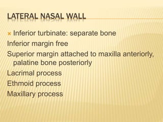ANATOMY of nose ppt.pptx