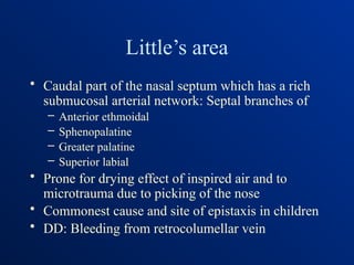 Comprehensive Anatomy and Physiology of the Nasal Cavity and External ...