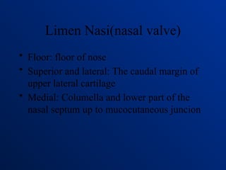 Comprehensive Anatomy and Physiology of the Nasal Cavity and External ...