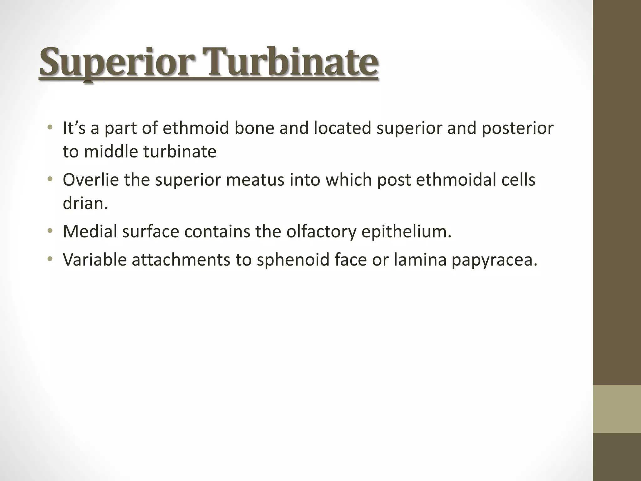 Anatomy of NASAL CAVITY related to FESS | PPTX