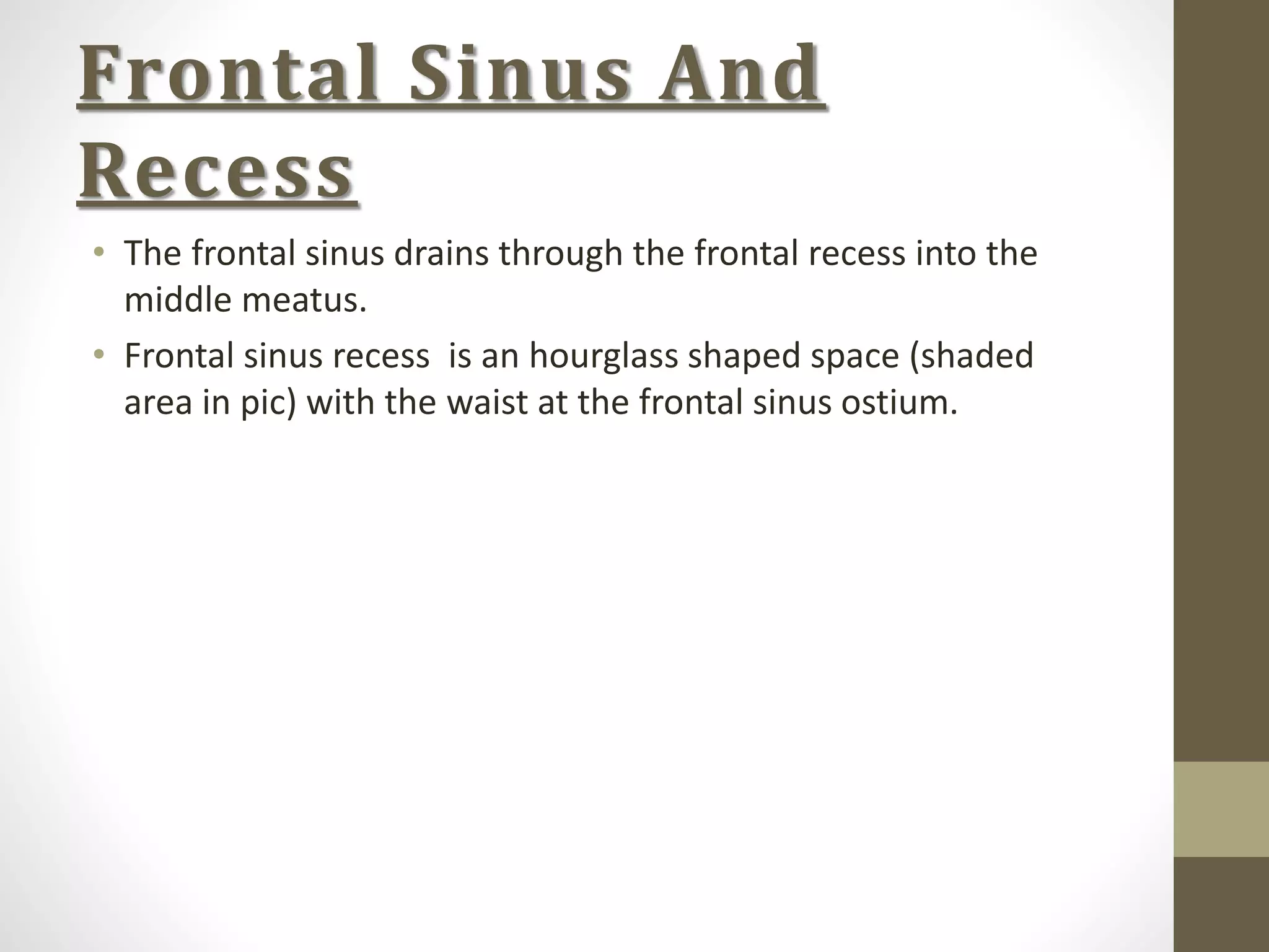Anatomy of NASAL CAVITY related to FESS | PPTX