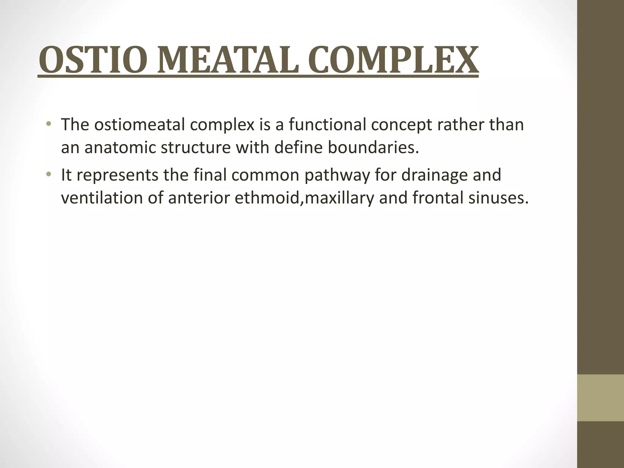 Anatomy of NASAL CAVITY related to FESS | PPTX
