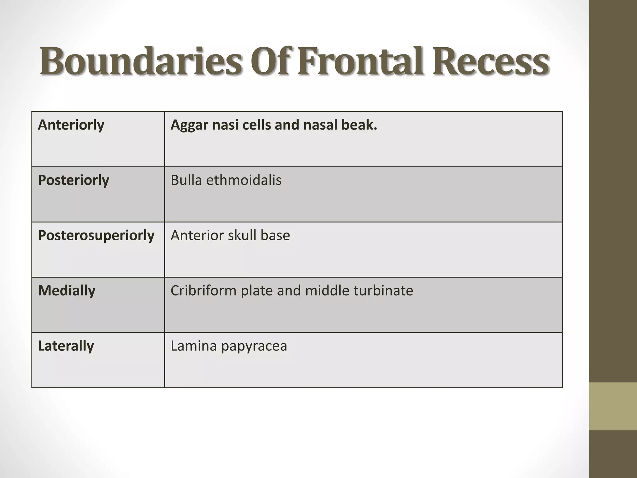 Anatomy of NASAL CAVITY related to FESS | PPTX