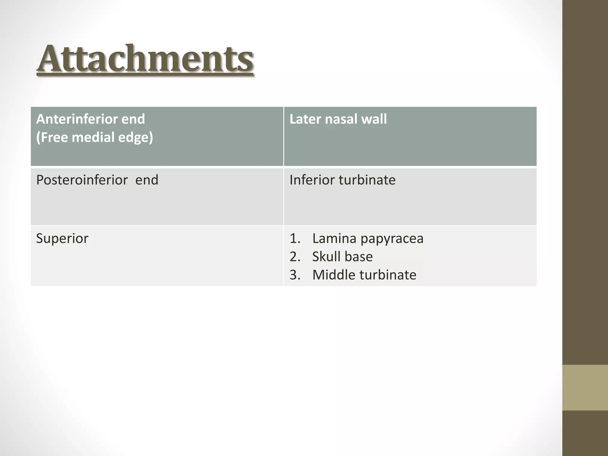 Anatomy of NASAL CAVITY related to FESS | PPTX