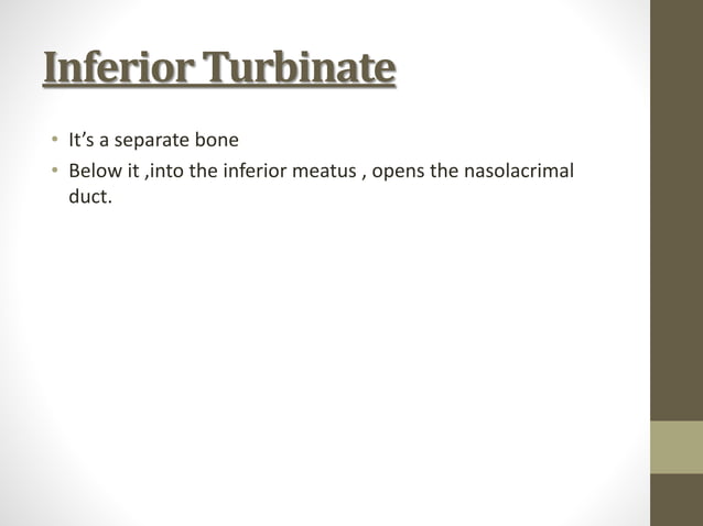 Anatomy of NASAL CAVITY related to FESS | PPT