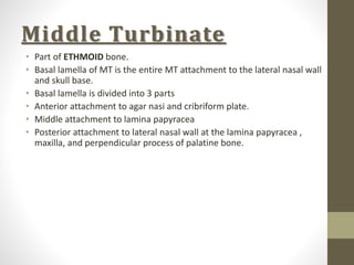 Anatomy of NASAL CAVITY related to FESS | PPTX