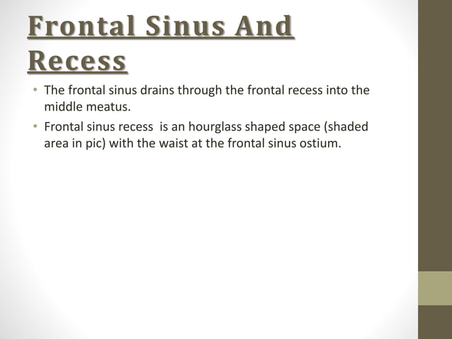 Anatomy of NASAL CAVITY related to FESS | PPT