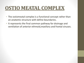 Anatomy of NASAL CAVITY related to FESS | PPT