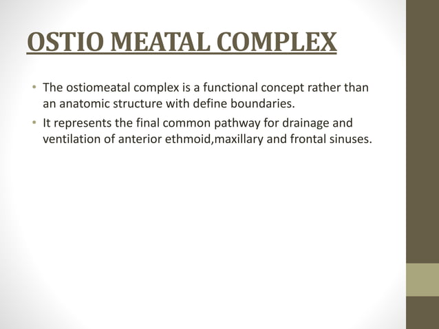 Anatomy of NASAL CAVITY related to FESS | PPT
