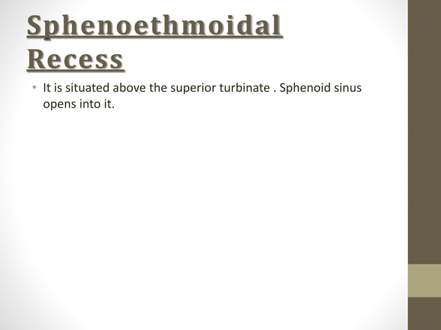 Anatomy of NASAL CAVITY related to FESS | PPT