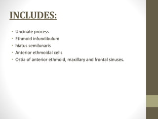 Anatomy of NASAL CAVITY related to FESS | PPT